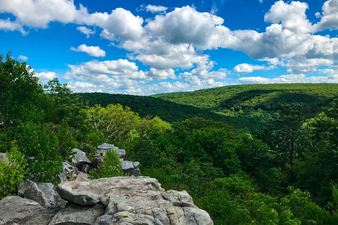 Alcohol and Drug Treatment Center, DreamLife - About Us